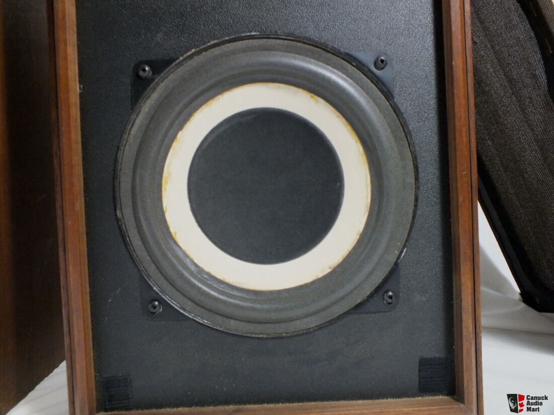 Avant 1AX Speakers Photo #2996827 - US Audio Mart