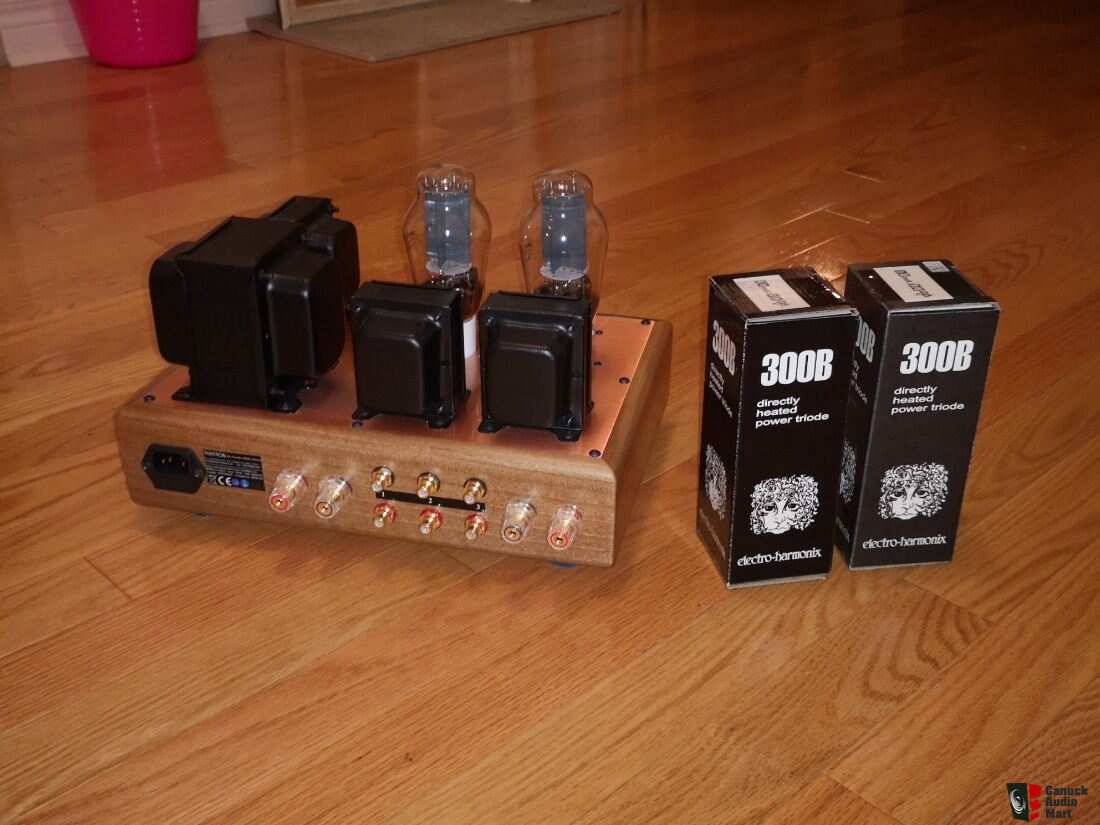 Tektron TK300BS-I-ECY tube integrated amp (Artisanal product made in ...