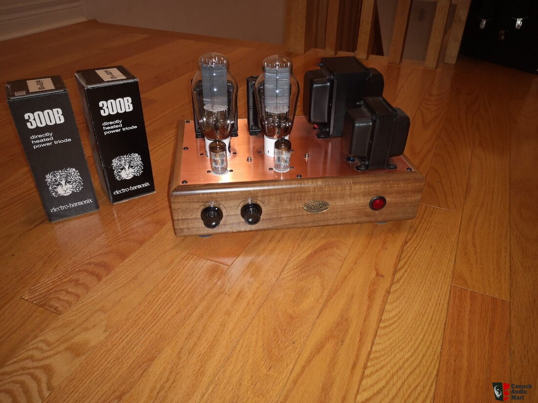 Tektron TK300BS-I-ECY tube integrated amp REDUCED Photo #2998257 ...