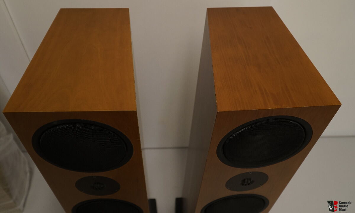 LINN NINKA Floorstanding loudspeakers Photo #3017323 - UK Audio Mart