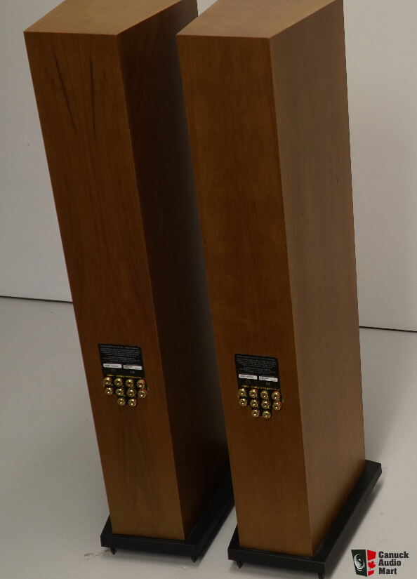 LINN NINKA Floorstanding loudspeakers Photo #3017323 - UK Audio Mart