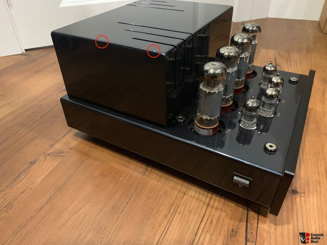 Primaluna ProLogue Four Power Amplifier Photo #3019794 - Canuck Audio Mart