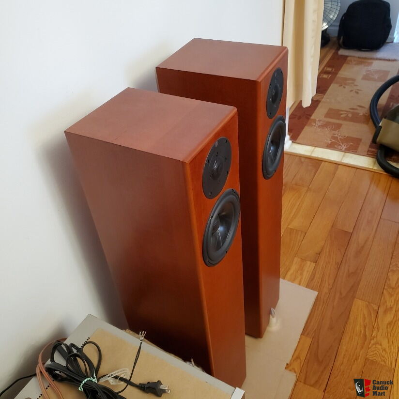 Totem Hawk speakers Cherry Finish For Sale - Canuck Audio Mart