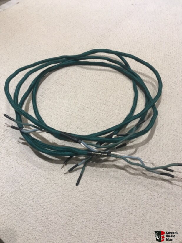 Phy hp speaker cable For Sale - UK Audio Mart