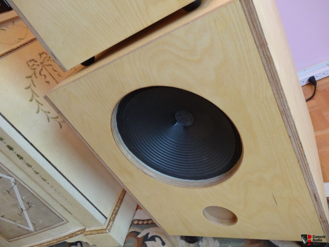 Hand Crafted Open Baffle Speaker System Photo #3036831 - Canuck Audio Mart