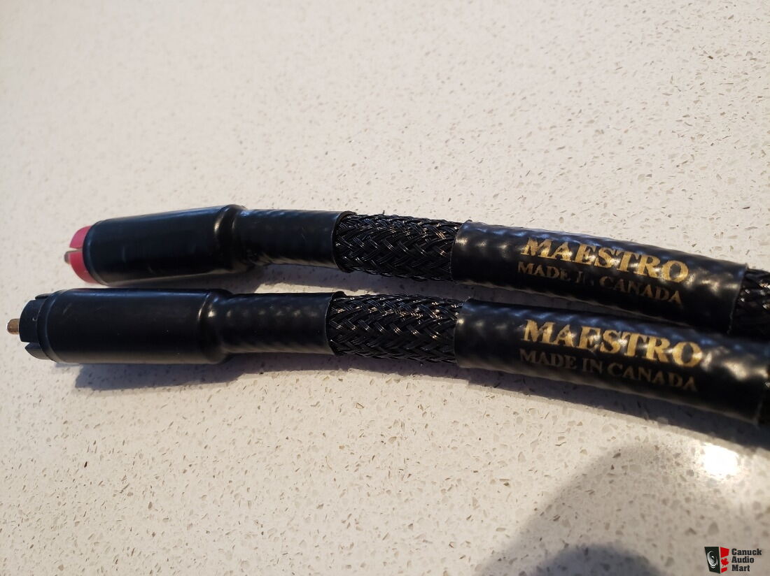 Bis audio Maestro rca Photo #3045000 - UK Audio Mart