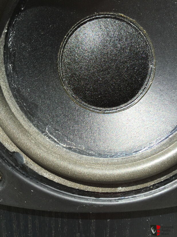 Celef CF1 Altius and heavy steel stands Photo #3050547 - US Audio Mart