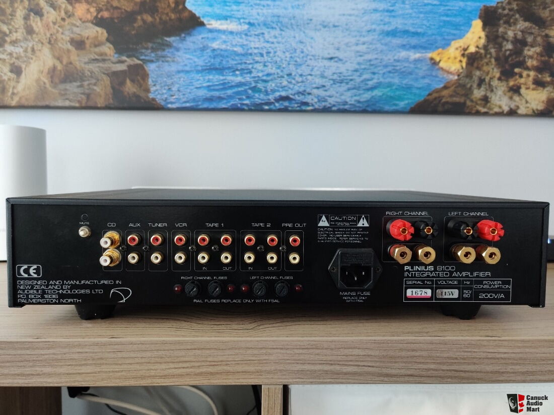 Plinius 8100 - Recapped and Upgraded Photo #3064425 - UK Audio Mart