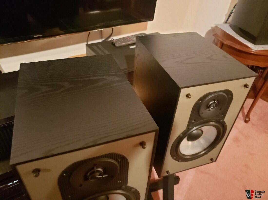 paradigm mini monitors and UK built stands Photo #3066191 - UK Audio Mart