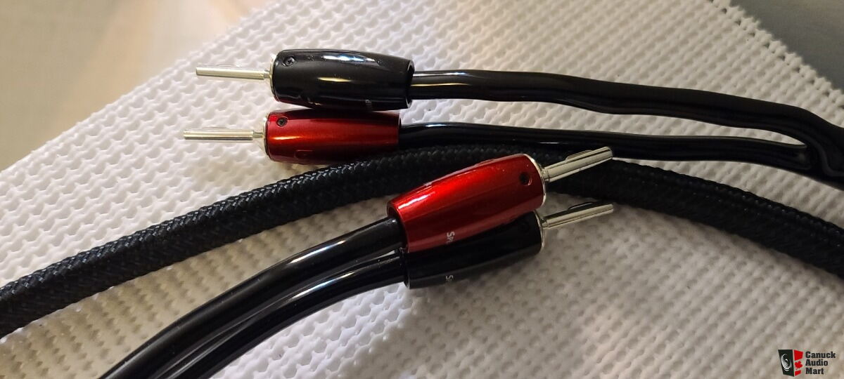 Audioquest Rocket 88 with 72v DBS Full Range Speaker Cables - 6 Feet ...