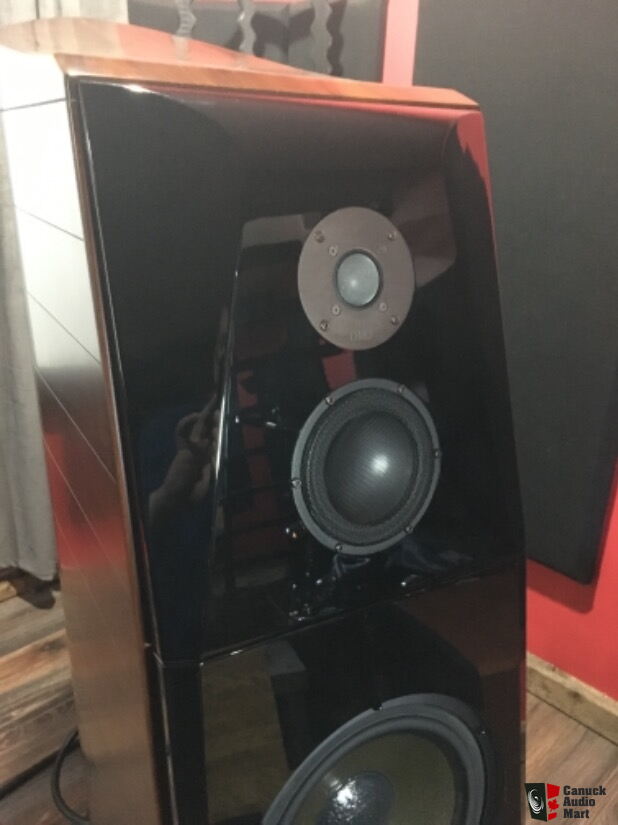 Usher BE-20 DMD Photo #3071319 - US Audio Mart