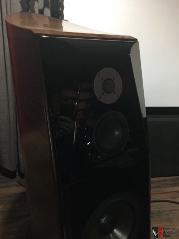 Usher BE-20 DMD Photo #3071319 - US Audio Mart