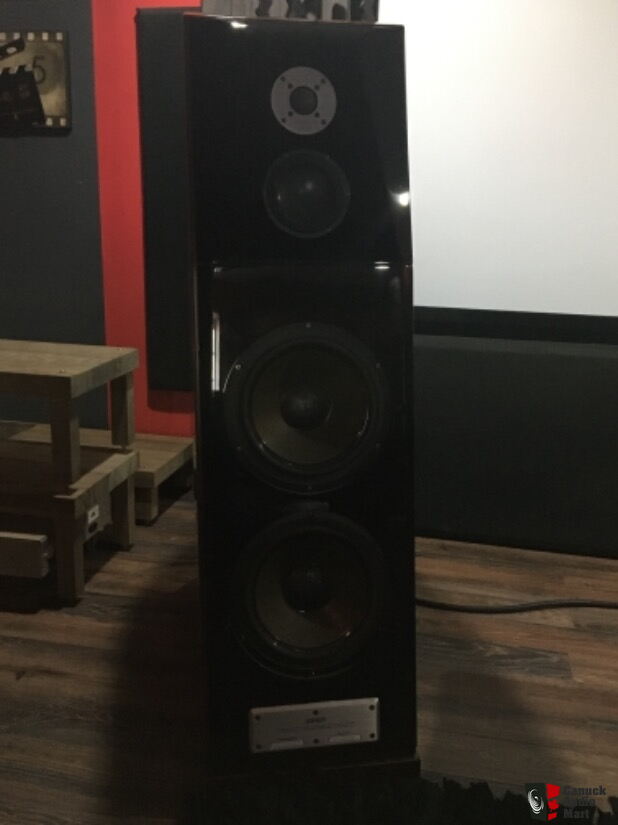 Usher BE-20 DMD Photo #3071319 - US Audio Mart