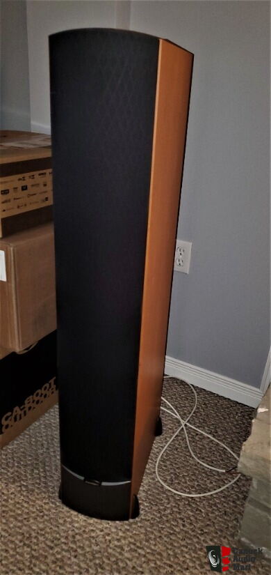 Paradigm Monitor 11 v4 Photo #3082394 - Canuck Audio Mart