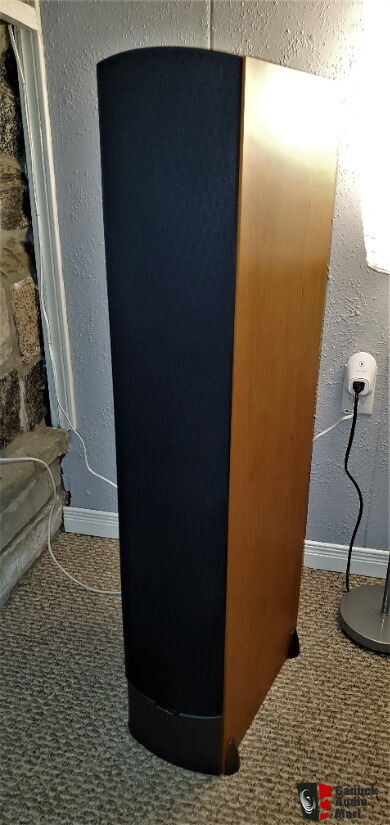 Paradigm Monitor 11 v4 Photo #3082394 - Canuck Audio Mart