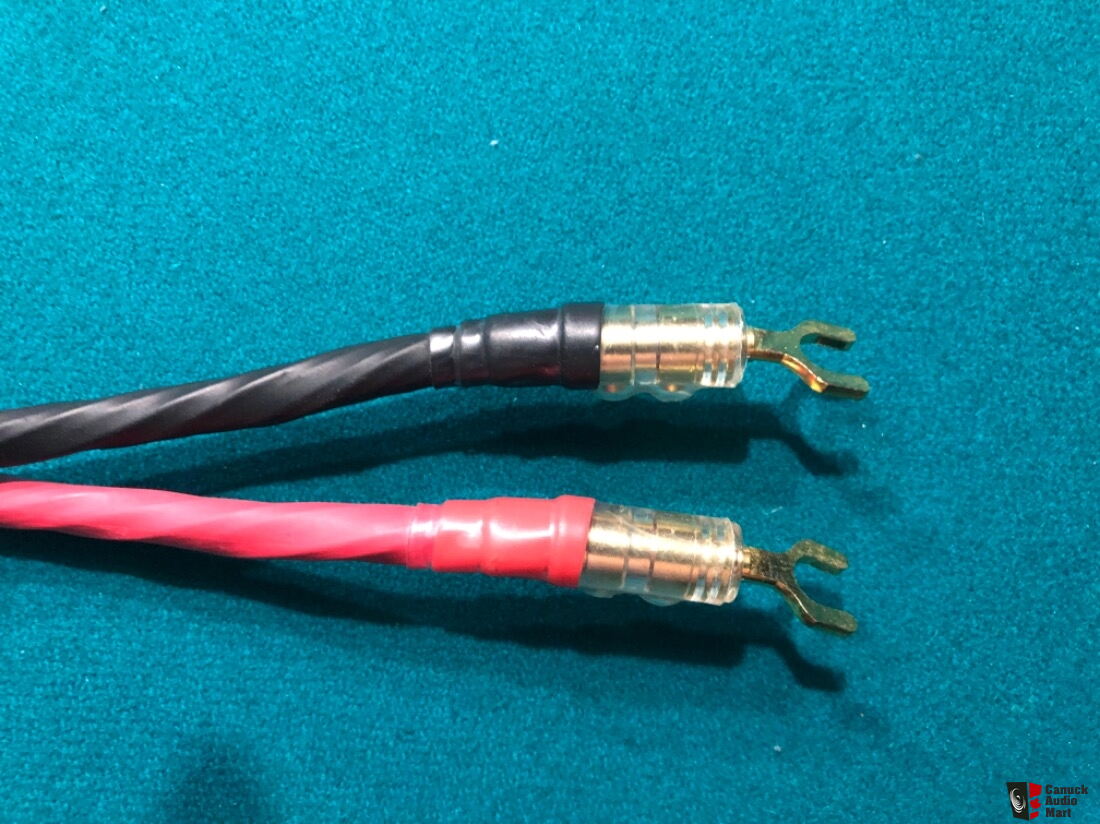 Von Schweikert/Masterbuilt speakers cables !!!SOLD!!! Photo #3084420 ...
