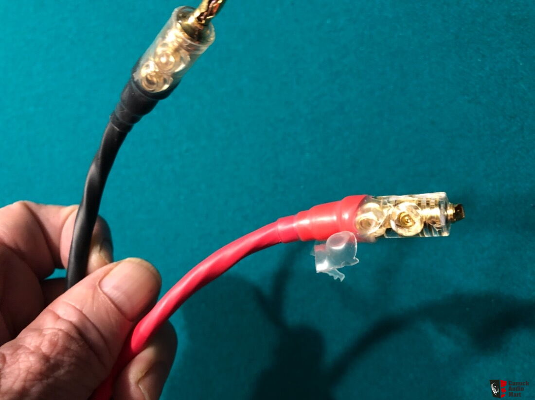 Von Schweikert/Masterbuilt speakers cables !!!SOLD!!! Photo #3084428 ...