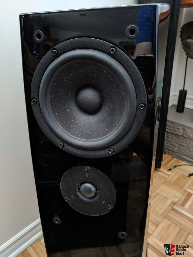 Gemme Audio Tanto V2 karbon, modified Photo #3088860 - Canuck Audio Mart