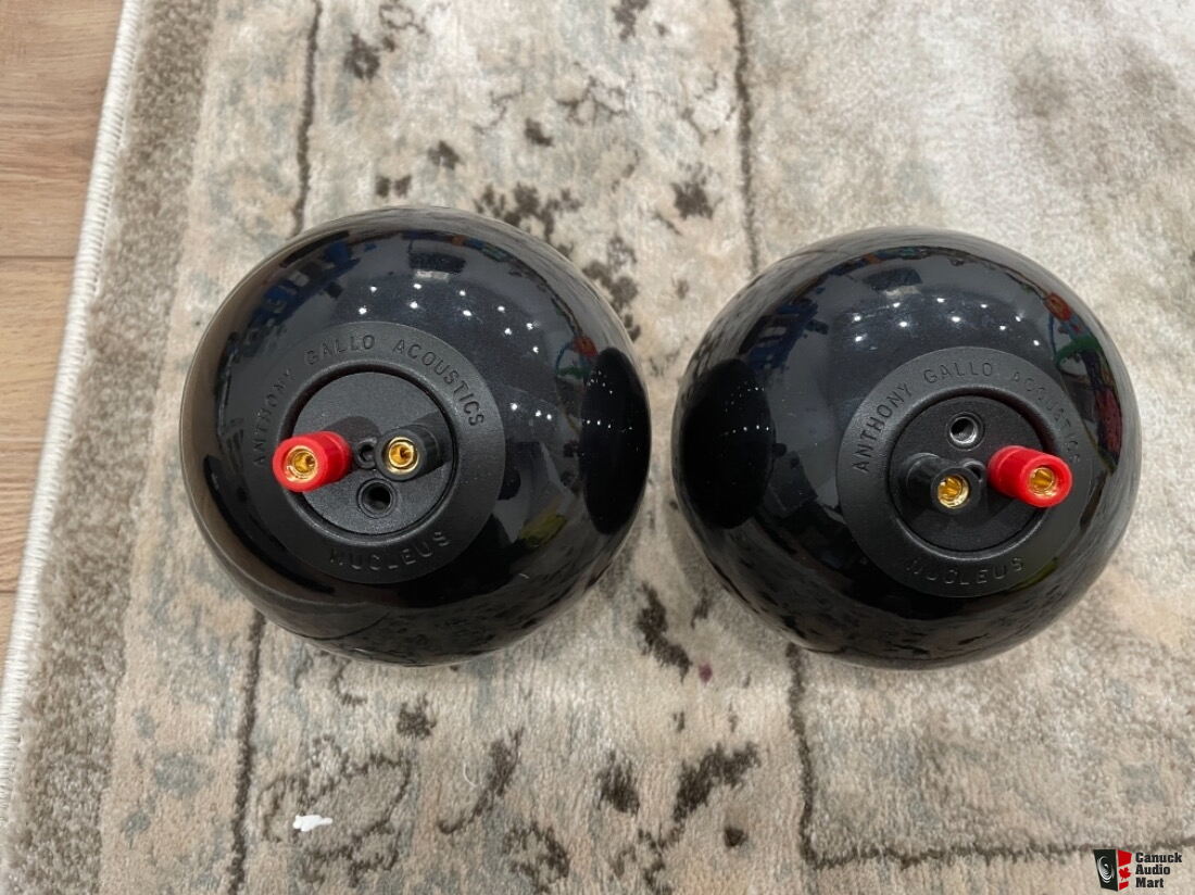Anthony Gallo Acoustics Micro Nucleus Speaker Pair bookshelf For Sale ...