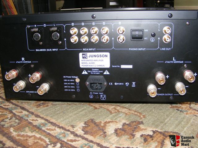 Jungson JA88D(09) Balanced Class A Integrated Amp For Sale - Canuck ...