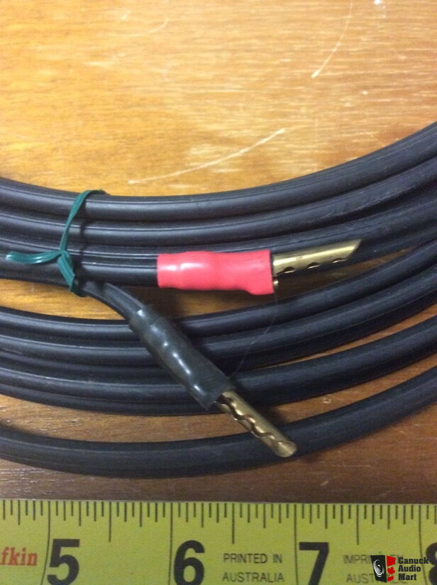 12' pair of Naim Audio NAC A5 speaker cables Photo #3112329 - UK Audio Mart