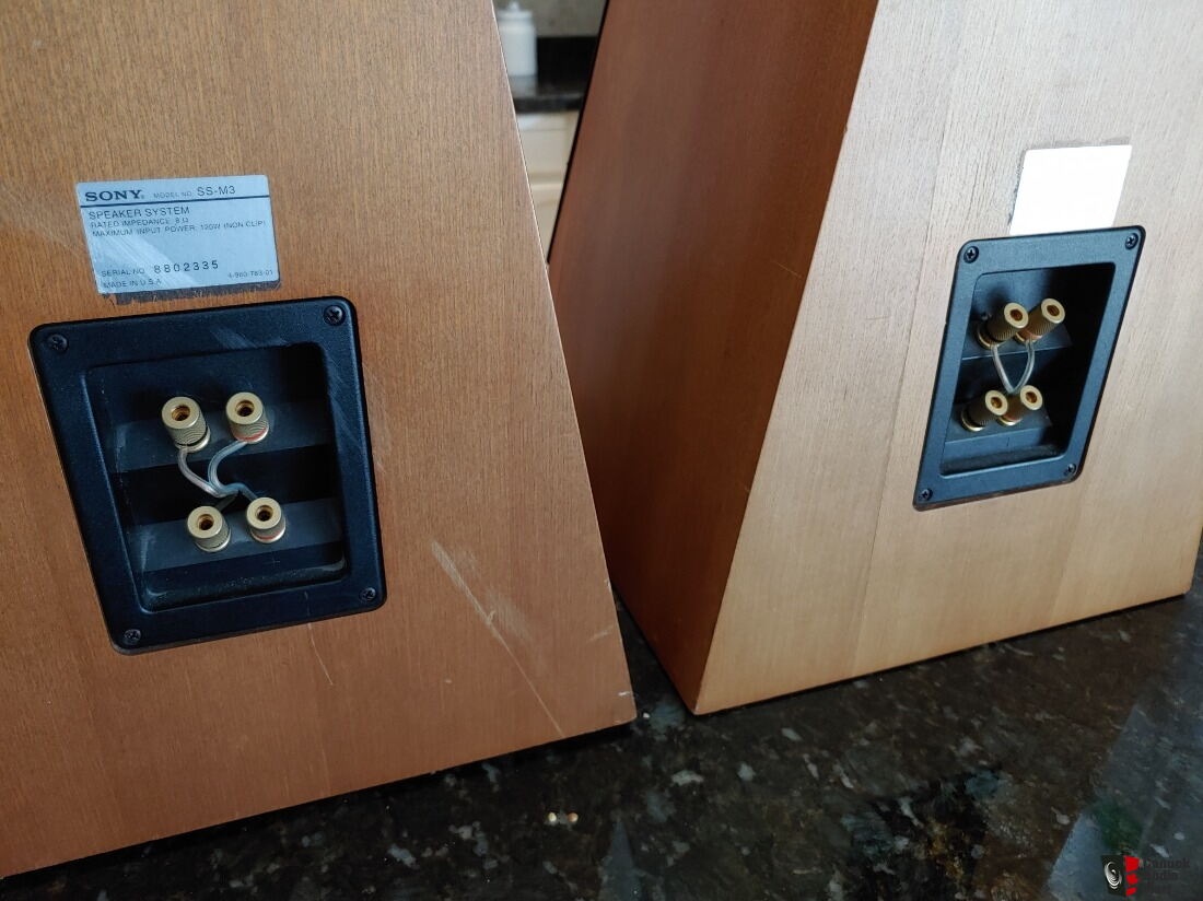Sony SS M3 speakers Photo #3114339 - Canuck Audio Mart