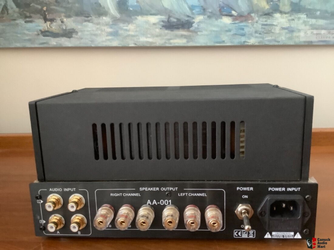 Analog Acoustics Integrated Tube Amp Photo #3117786 - US Audio Mart