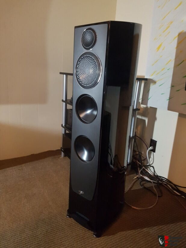 Paradigm Persona 3F carbon black mint condition For Sale - Canuck Audio ...