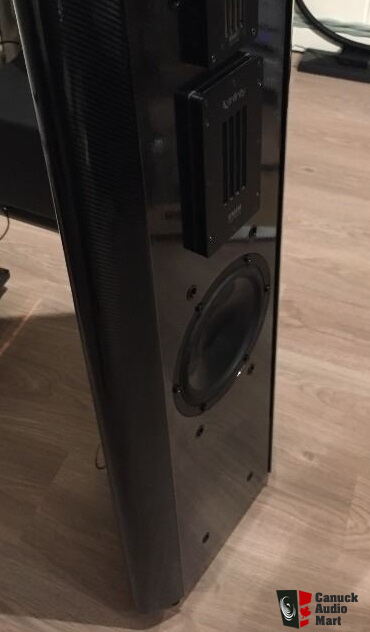 Infinity Renaissance 80 (new 3D Carbon Gloss Black Finish) SOLD ...