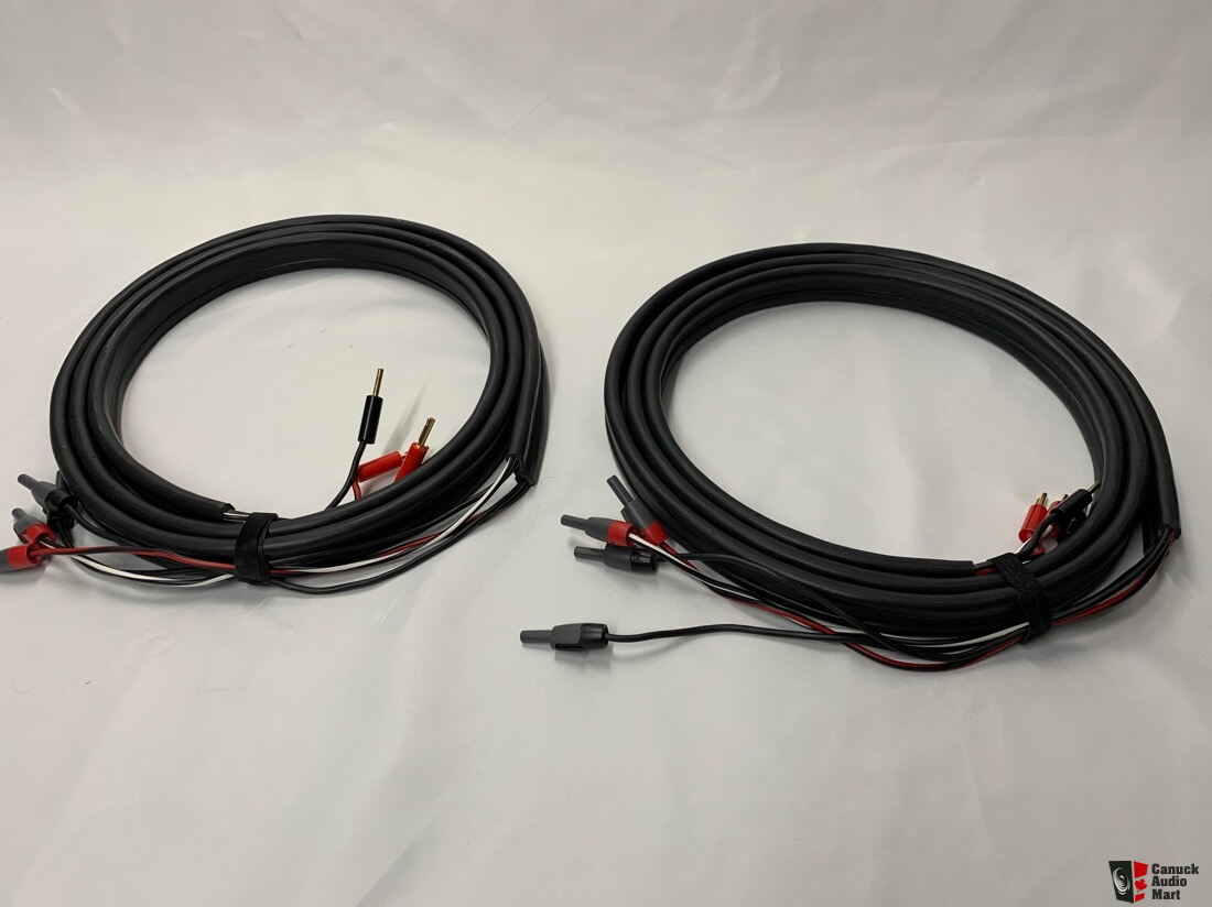 Linn Speaker Cables - K-600 - K400 - K200 - K20 Photo #3130419 - Canuck ...