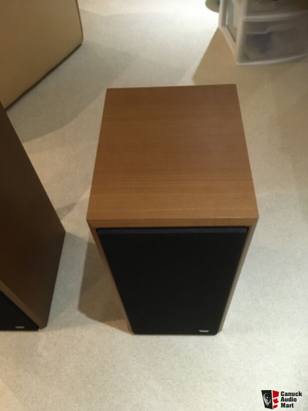 TAD TSM-300 Speaker Photo #3131949 - US Audio Mart