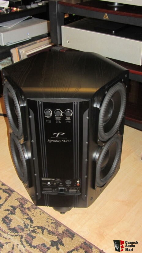 Paradigm Signature Subwoofer 1 Photo #3141310 - US Audio Mart