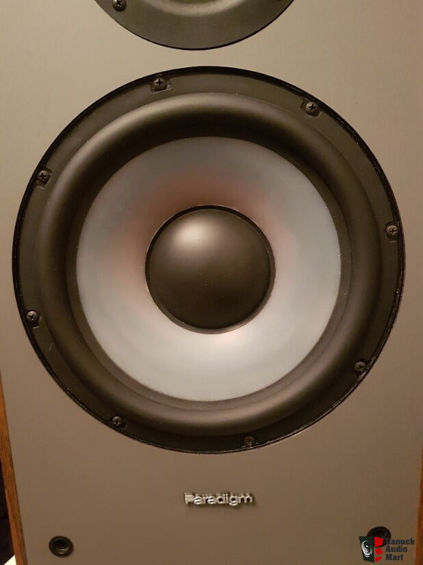 Paradigm Model 11