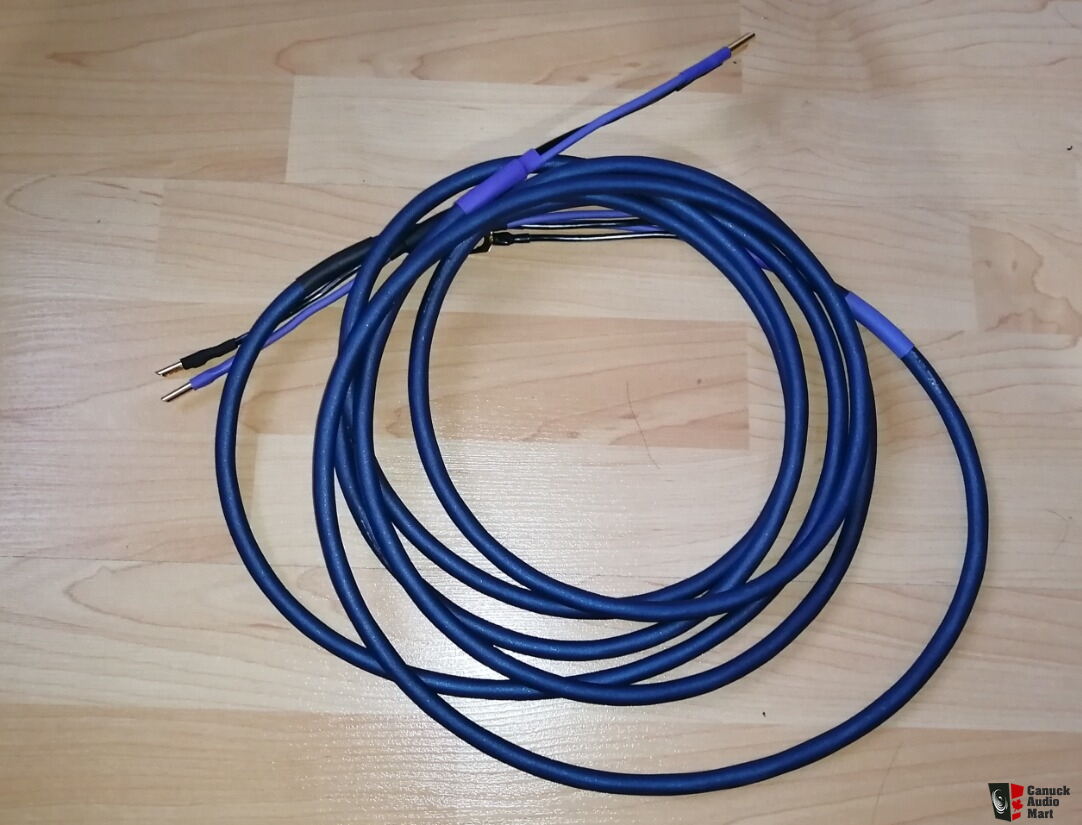 Audio Art SC-5 High Resolution speaker cables with all bananas (last ...