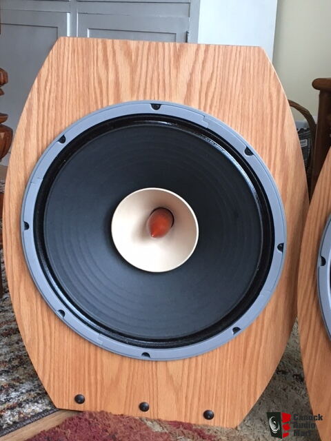 Caintuck Lii 15 Full range Open Baffle Speakers Photo #3150250 - Canuck ...