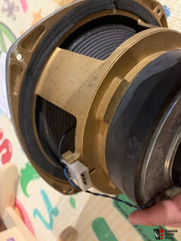 Tannoy 2558 drivers Supper RARE! Photo #3154344 - US Audio Mart