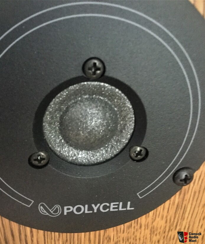 Vintage Infinity RS 2000 Bookshelf Speakers- Refoamed and Recapped in ...