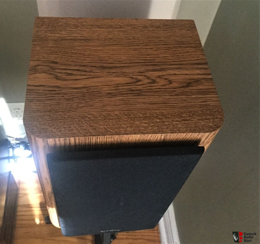 Vintage Infinity RS 2000 Bookshelf Speakers- Refoamed and Recapped in ...