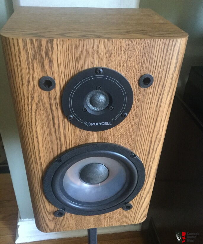 Vintage Infinity RS 2000 Bookshelf Speakers- Refoamed and Recapped in ...