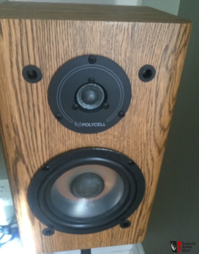 Vintage Infinity RS 2000 Bookshelf Speakers- Refoamed and Recapped in ...