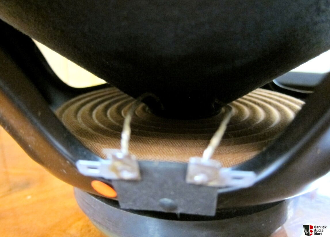 Sound Dynamics 12SC Woofer For 120S 12S 12 SCE 1200 SMT Speakers Photo ...