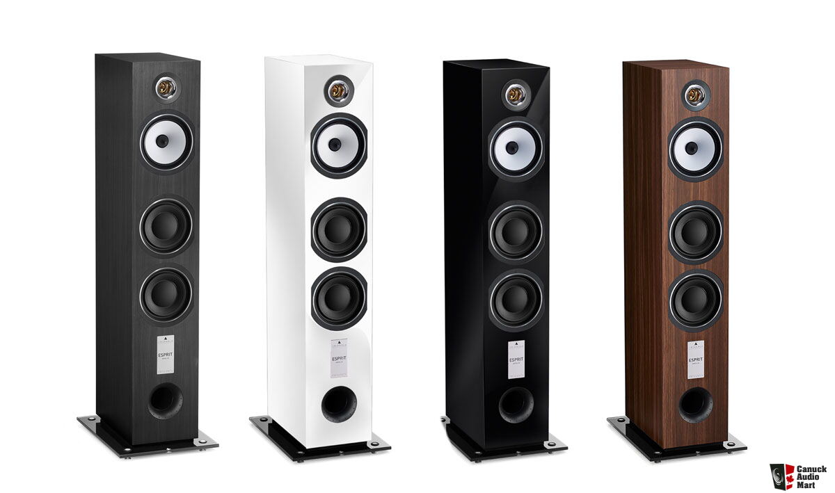 Triangle Esprit Antal Ez Speakers( white gloss) floor model Photo ...