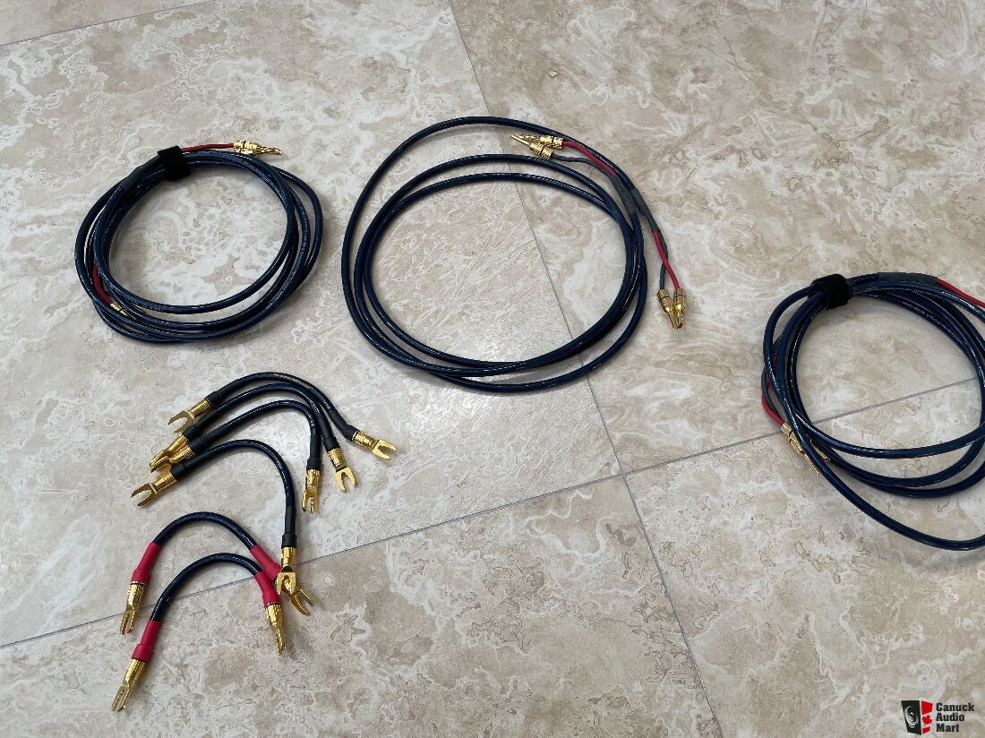 Siltech London Speaker Cables 80 inches Long(3 QTY) Includes London Bi ...