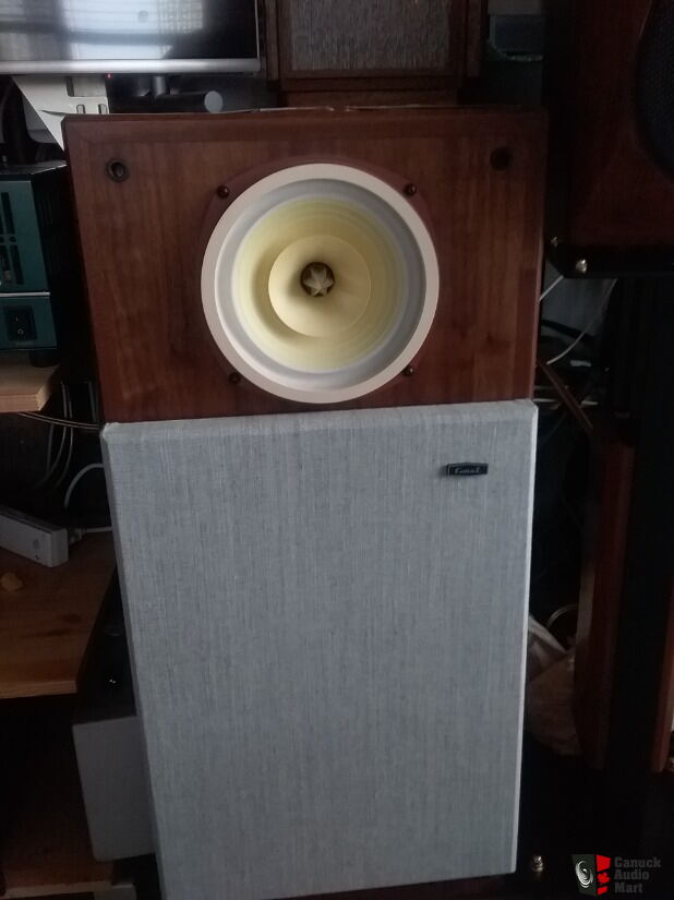 Coral Beta 8 with upgrades For Sale - Canuck Audio Mart