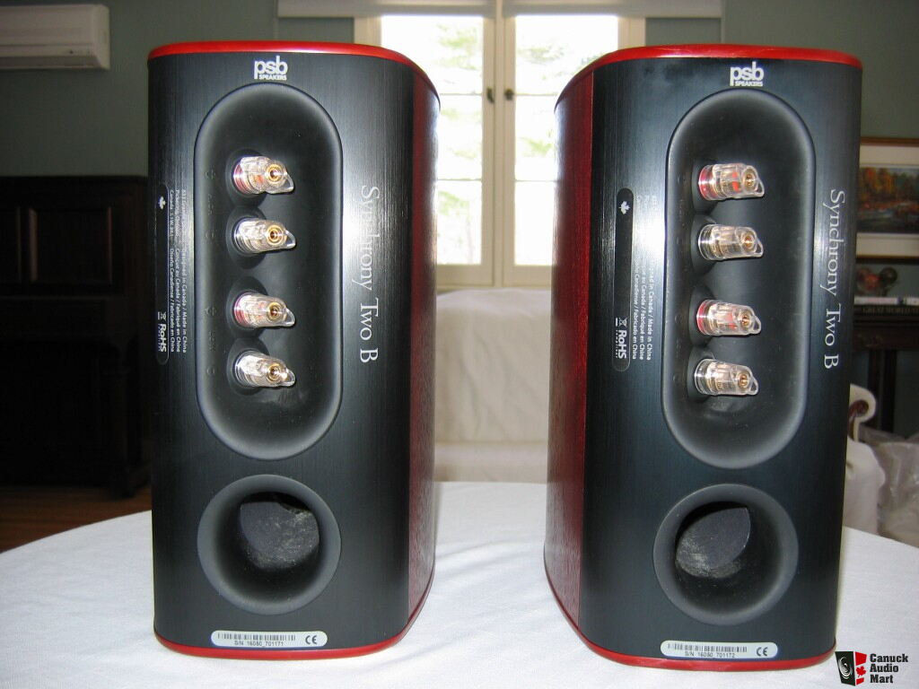 PSB Synchrony Two B Photo #320859 - US Audio Mart