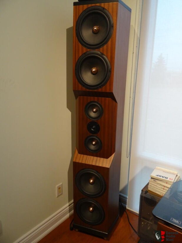 Tyler Acoustics D10 Tower Speakers (SOLD) Photo #3200052 - Canuck Audio ...