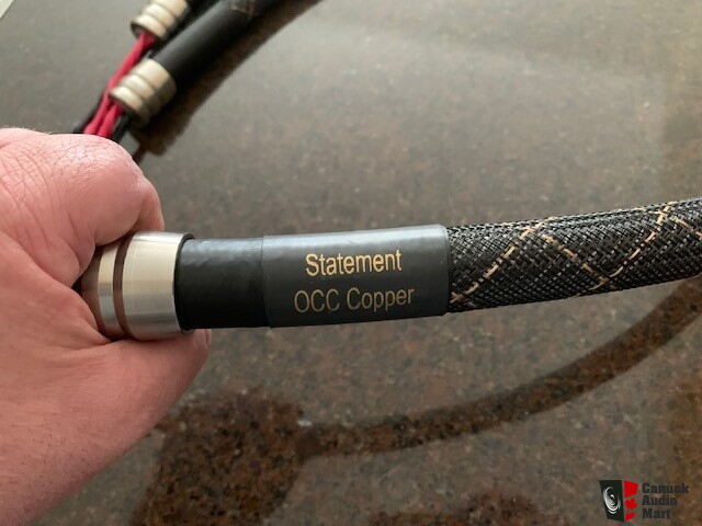 Audio Sensibility - STATEMENT Speaker Cables (1.5 M Pair) Photo ...