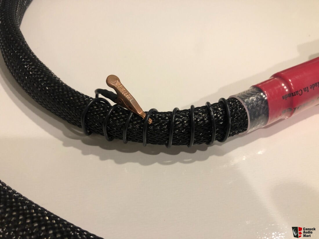 Gutwire G-Clef 2 Power Cable Photo #3207362 - Canuck Audio Mart