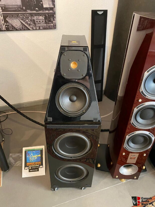 Wilson Audio Puppy-2 subwoofers Photo #3207479 - Canuck Audio Mart