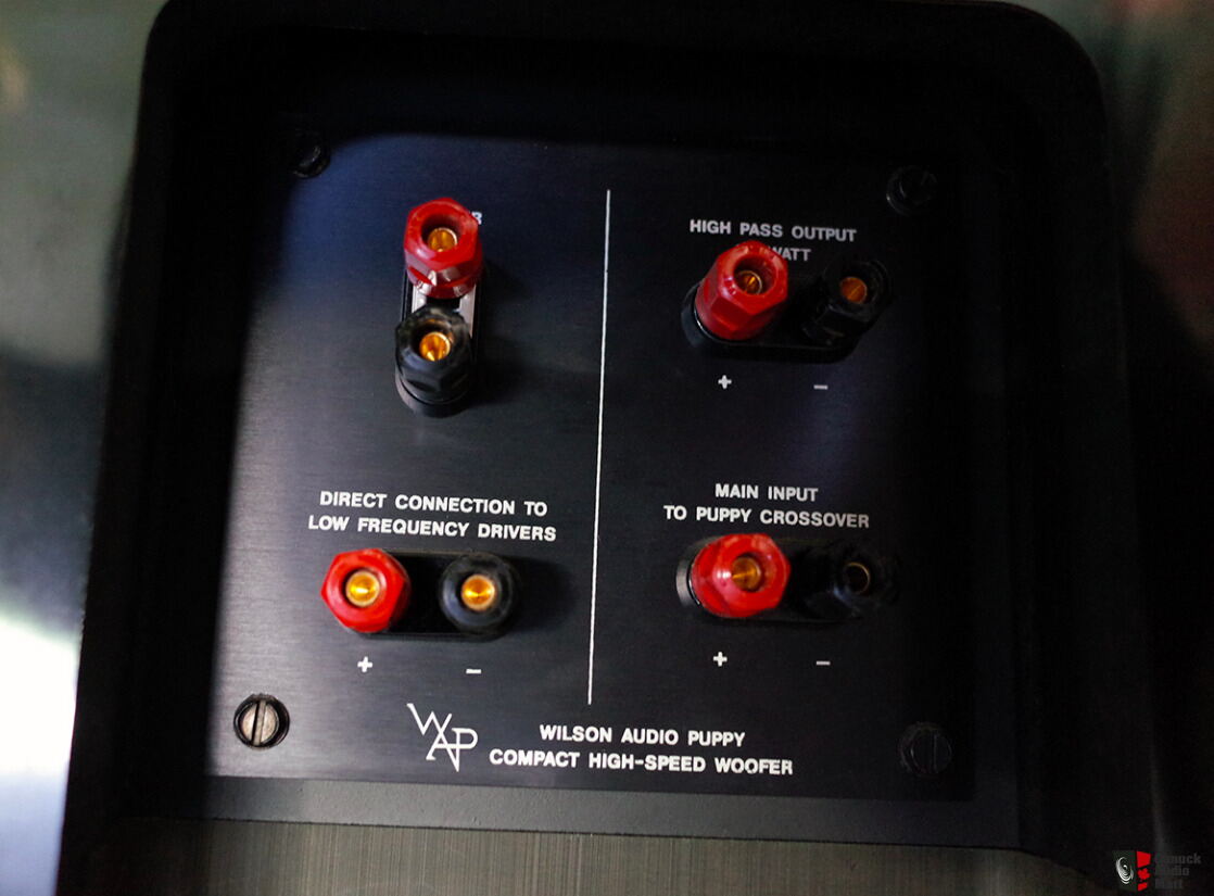 Wilson Audio Puppy-2 subwoofers Photo #3207479 - Canuck Audio Mart